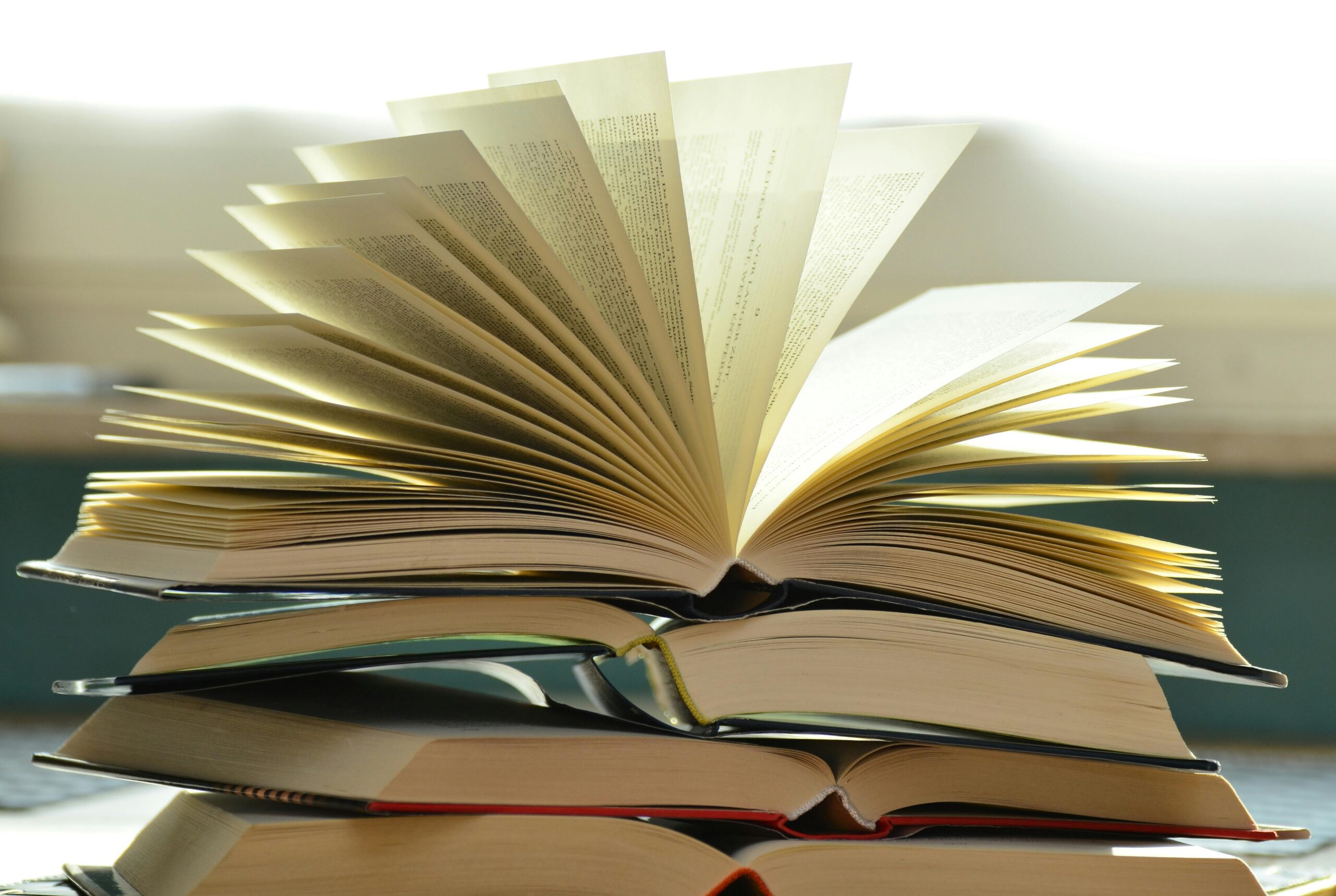 4 Writing Books Every Pantser Should Read - See Jane Write