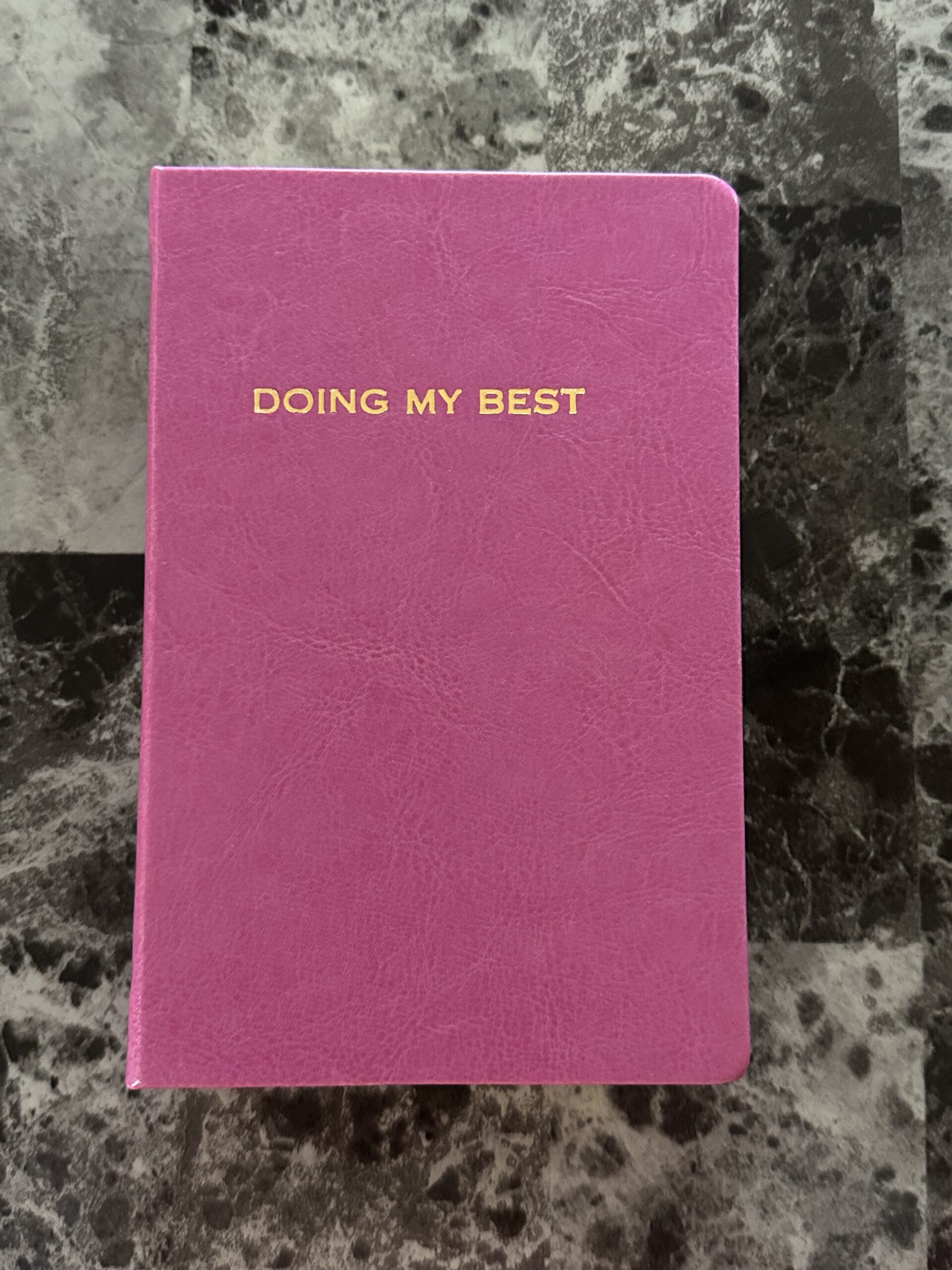 tiny diary - See Jane Write